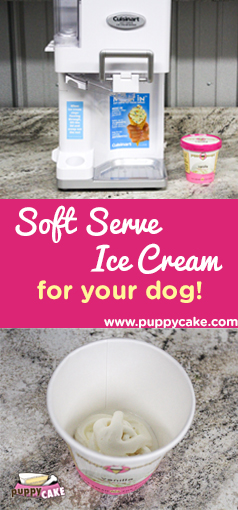 Soft Serve Ice Cream Machine