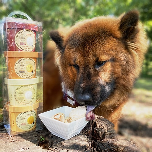 Puppy Cake - Hoggin Dogs Sample Pack #8HDPACK